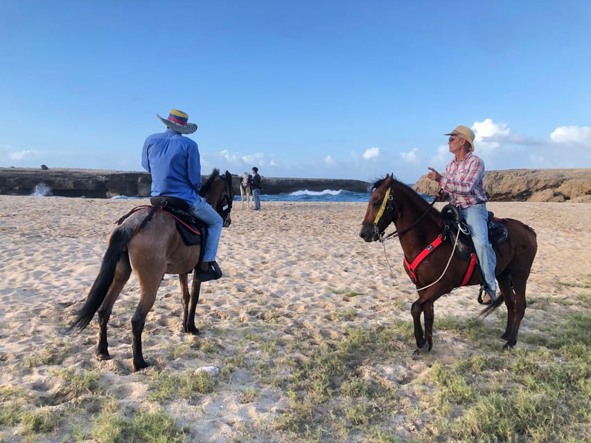 Aruba: Horseback Ride Tour to Wariruri Beach | GetYourGuide