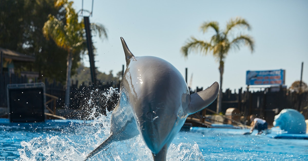 Benidorm: Mundomar Animal Park 1-Day Ticket | GetYourGuide