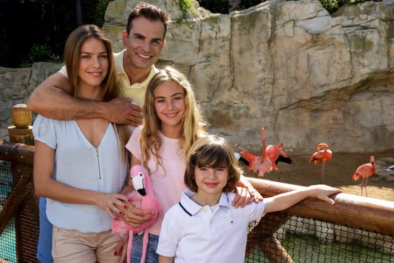 Benidorm: Mundomar Animal Park 1-Day Ticket | GetYourGuide