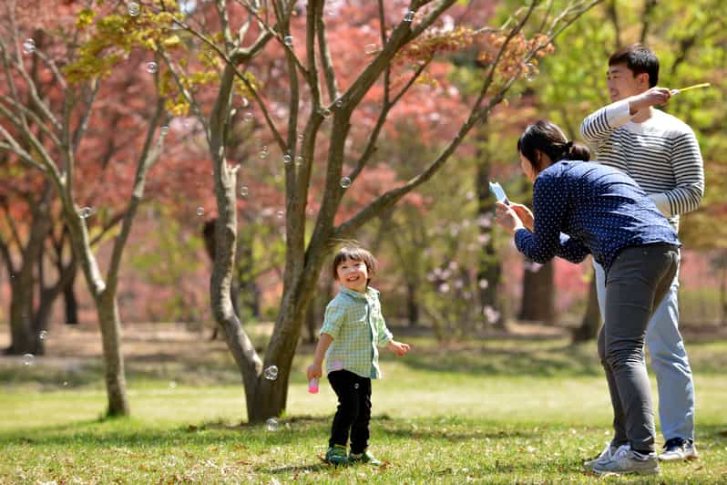 Seoul to/from Nami Island: Round-Trip Shuttle Service | GetYourGuide Seoul to/from Nami Island: Round-Trip Shuttle Service | GetYourGuide