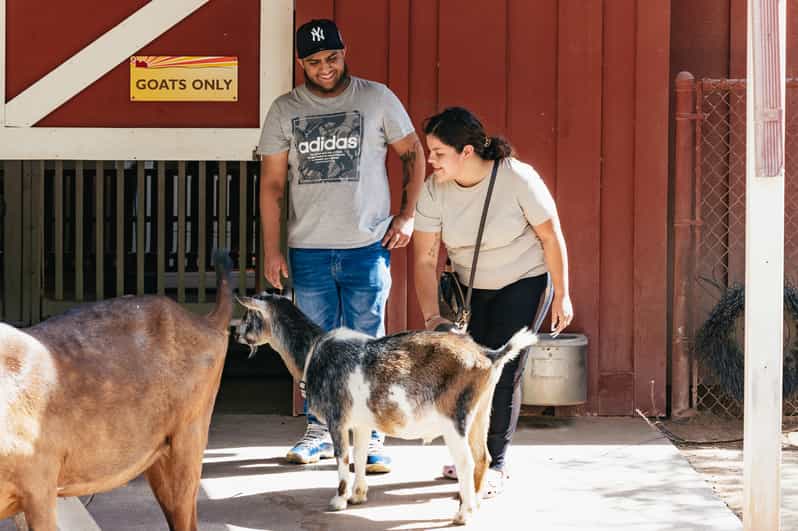 Phoenix Zoo: One Day General Admission Ticket | GetYourGuide