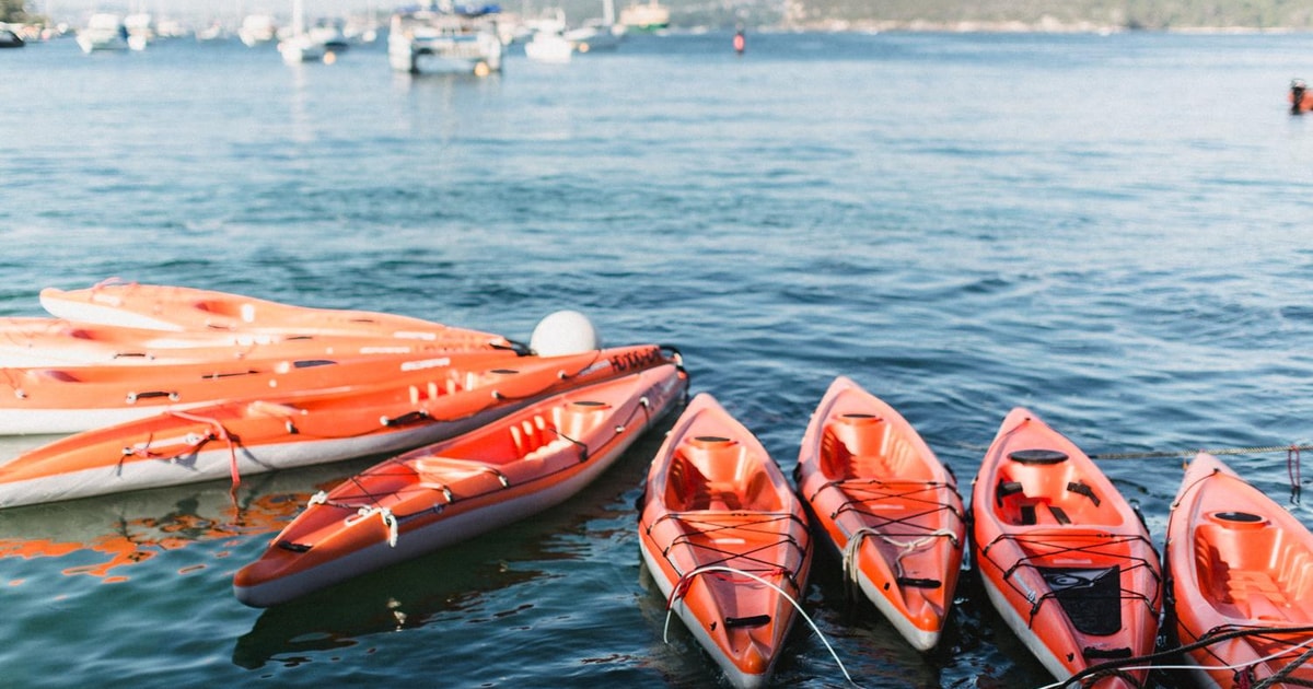 Manly: Mini Kayak Tour on Sydney's North Harbour | GetYourGuide