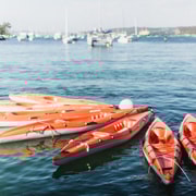 Manly: Mini Kayak Tour on Sydney's North Harbour | GetYourGuide
