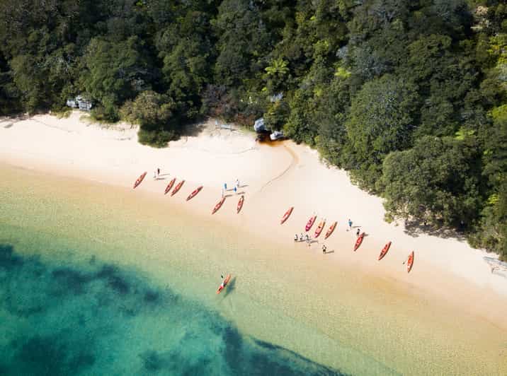 Manly: Mini Kayak Tour on Sydney's North Harbour | GetYourGuide
