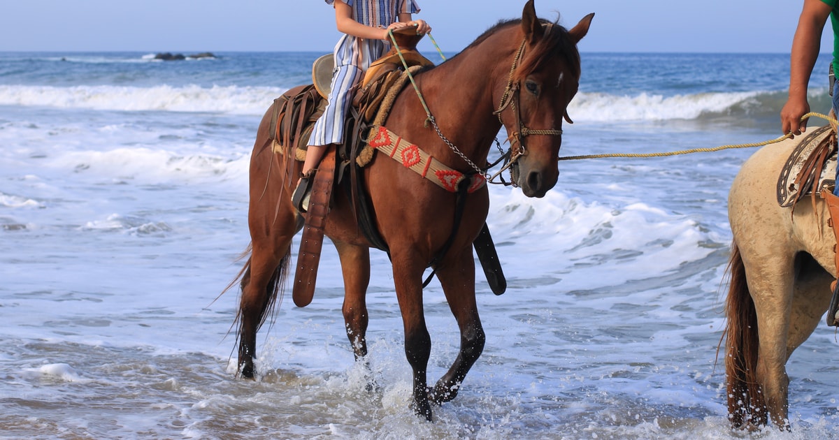 Lovaglás | GetYourGuide