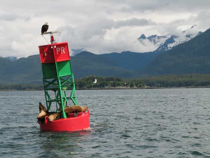 Juneau: Sentinel Lighthouse and Whale Watching Cruise | GetYourGuide