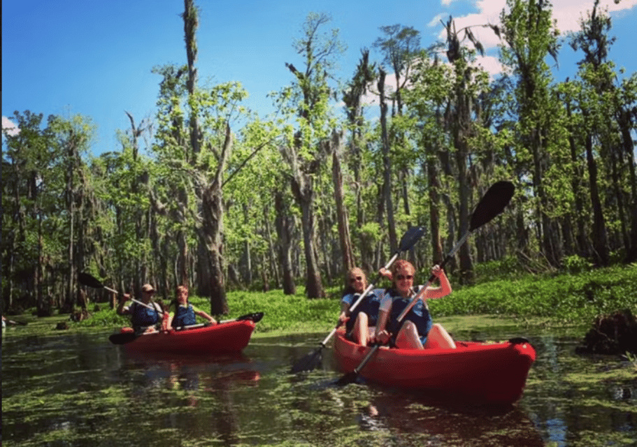 New Orleans: Manchac Swamp Wildlife Kajak-tur | GetYourGuide