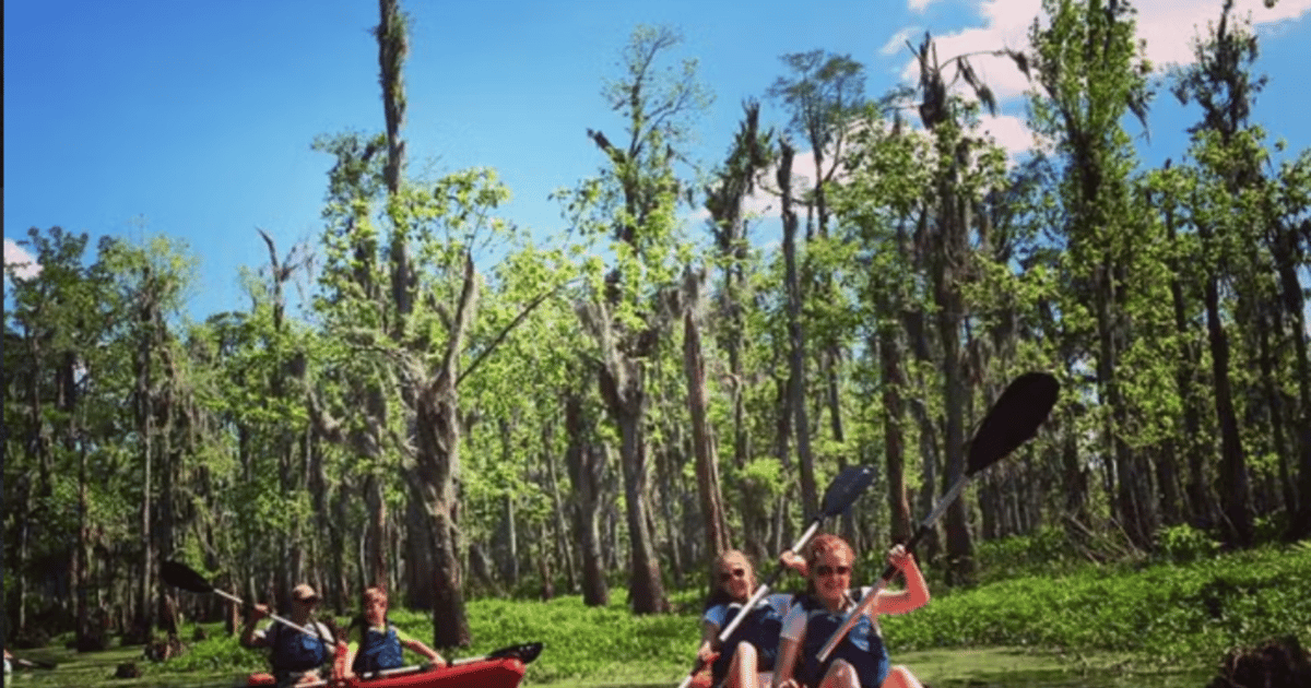 New Orleans: Manchac Swamp Wildlife Kayaking Tour | GetYourGuide