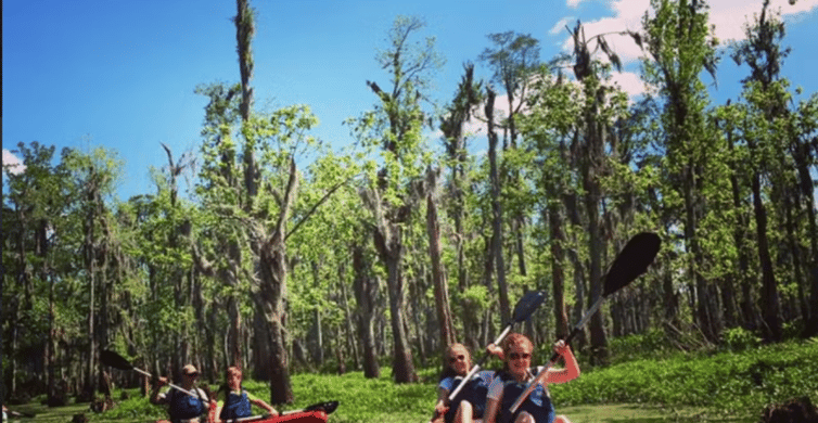 The BEST New Orleans Water activities 2022 - FREE Cancellation ...