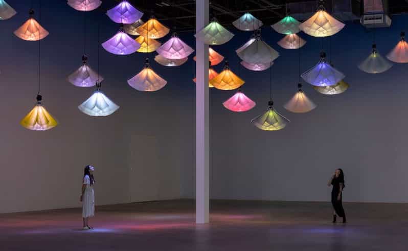 Miami: 'Superblue Miami' Immersive Art Experience Ticket | GetYourGuide