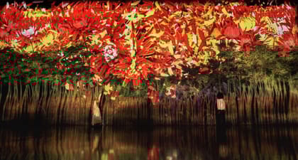 Miami: 'Superblue Miami' Immersive Art Experience Ticket | GetYourGuide