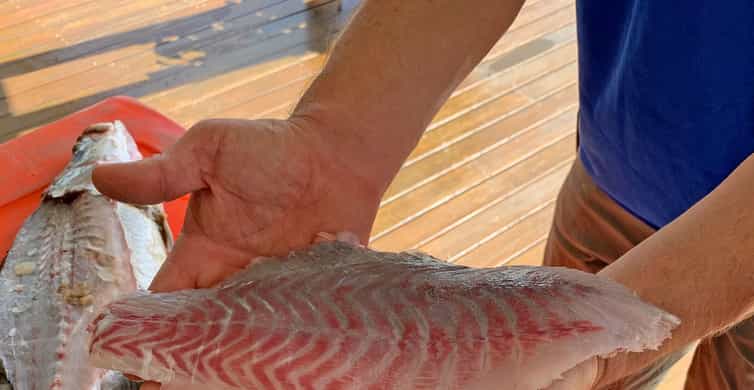 Wonga: Guided Fishing, Farming and Tasting Tour | GetYourGuide