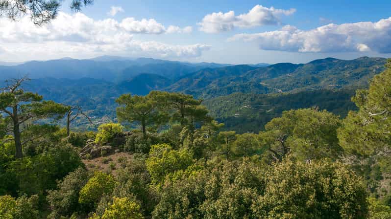 From Paphos: Troodos, Paphos Forest, Kykkos, and Omodos Tour | GetYourGuide