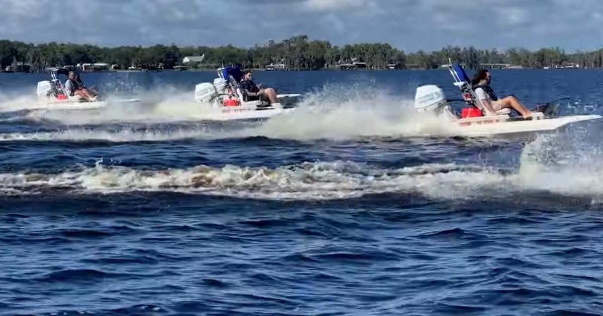 HydroCats | GetYourGuide