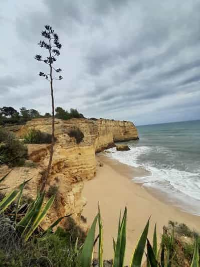 Albufeira : Visite des falaises de l'Algarve et de la chapelle des ...