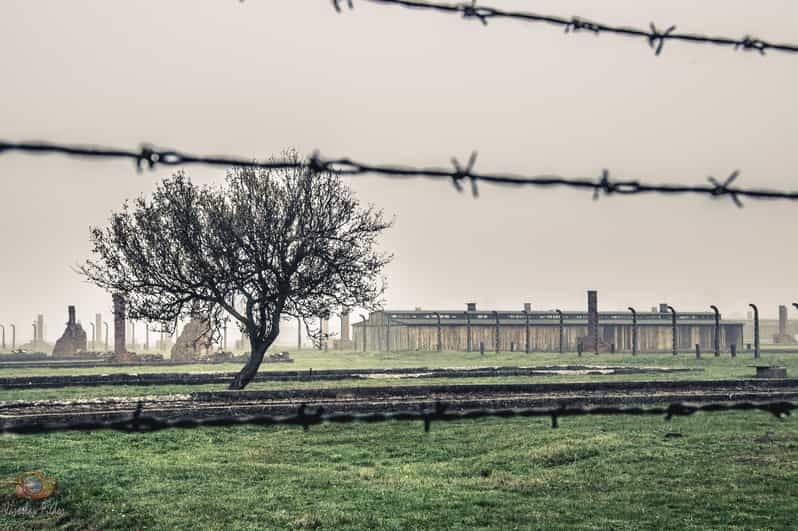 Auschwitz-Birkenau: Fast Track Entry Ticket & Guided Tour | GetYourGuide