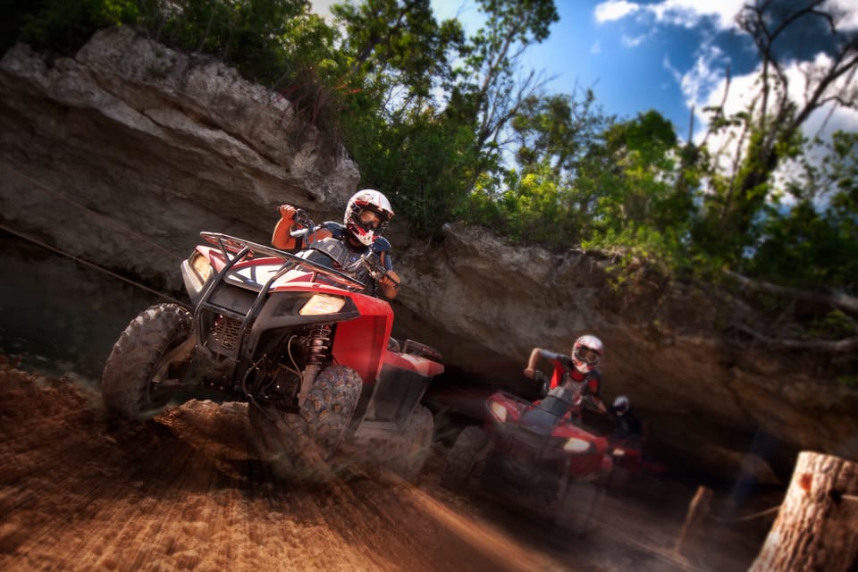 Selvatica Park: Zip Lines & ATV Jungle Adventure | GetYourGuide