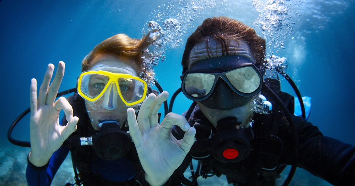 Mediterranean Sea Diving Experience with Transfer | GetYourGuide