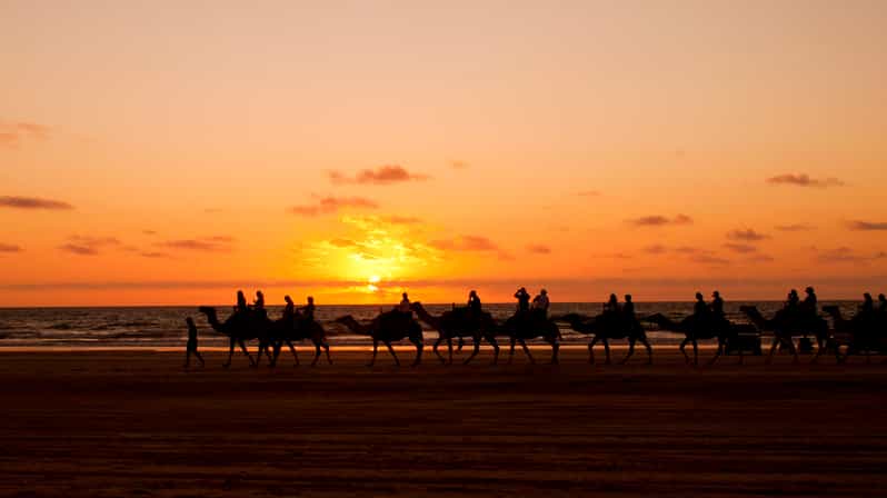 Agadir: Camel Ride Beach Tour Experience | GetYourGuide