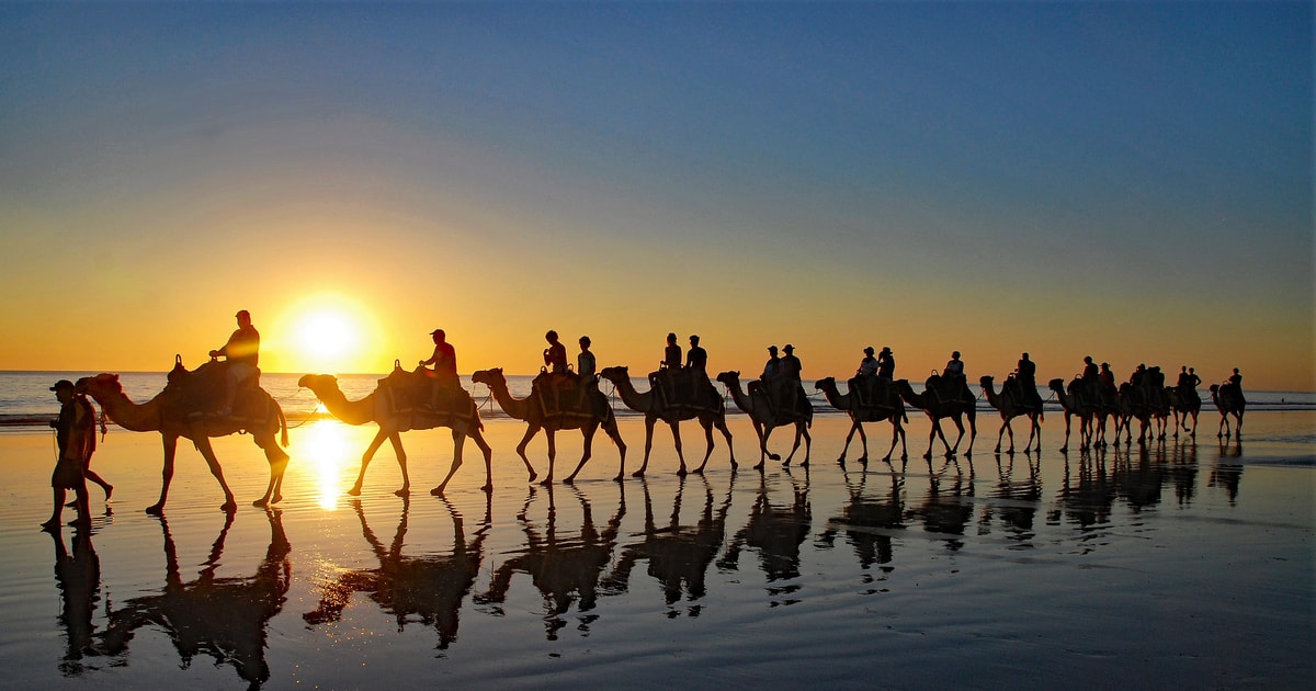 Agadir: Camel Ride Beach Tour Experience | GetYourGuide