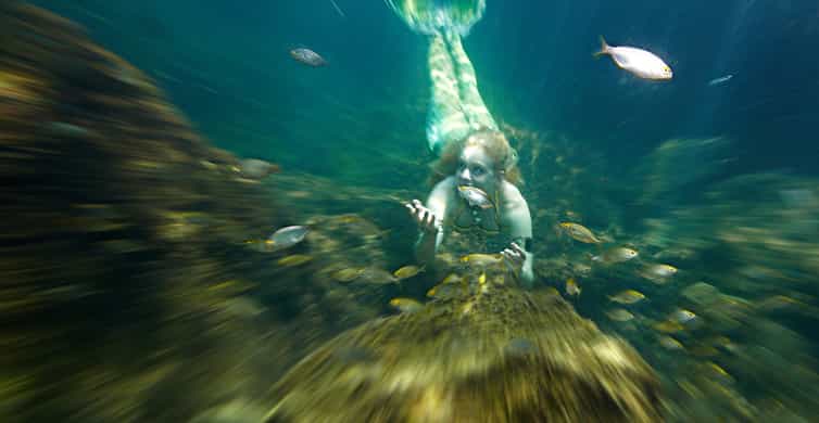 Radazul: Mermaid Experience and Photo Shoot | GetYourGuide