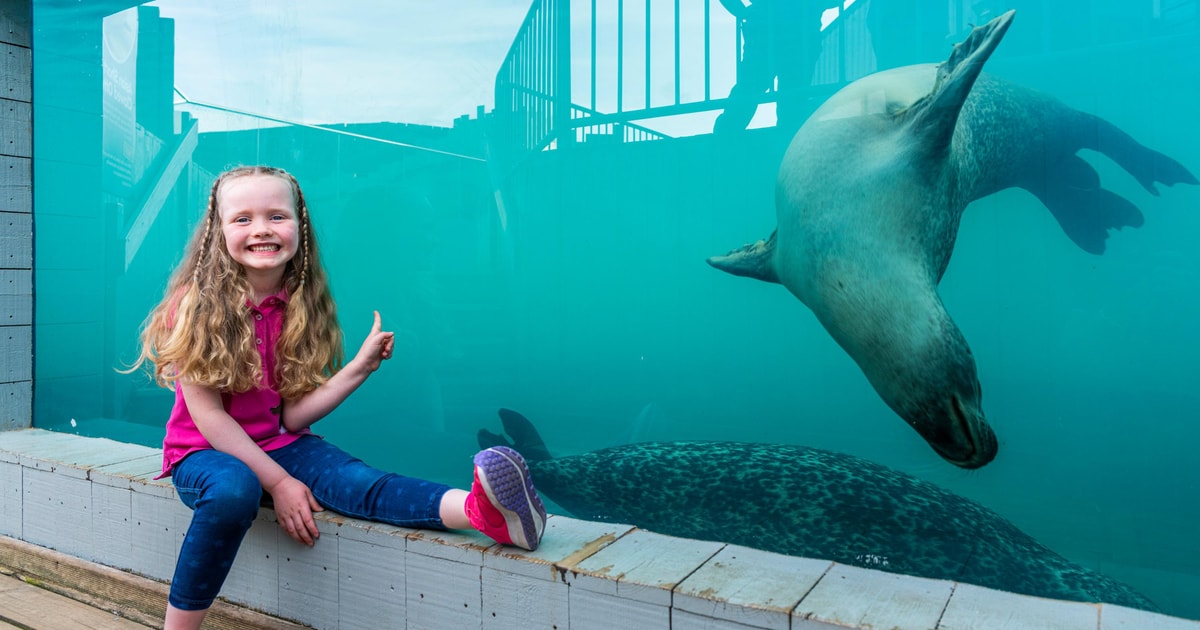 Sea Life Hunstanton | GetYourGuide