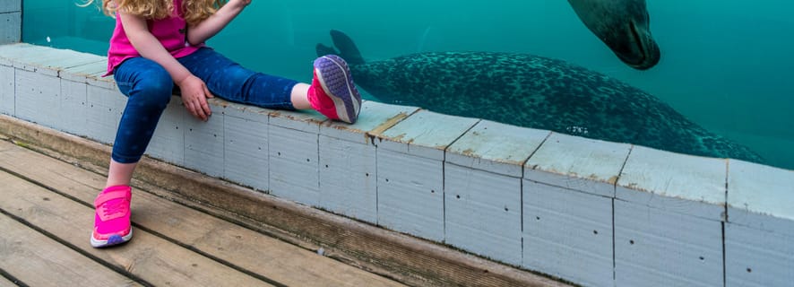 Merlin Entertainment (Sea Life) Ltd | Proveedor de GetYourGuide