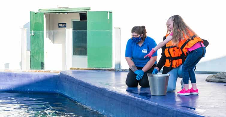 Sea Life Hunstanton | GetYourGuide