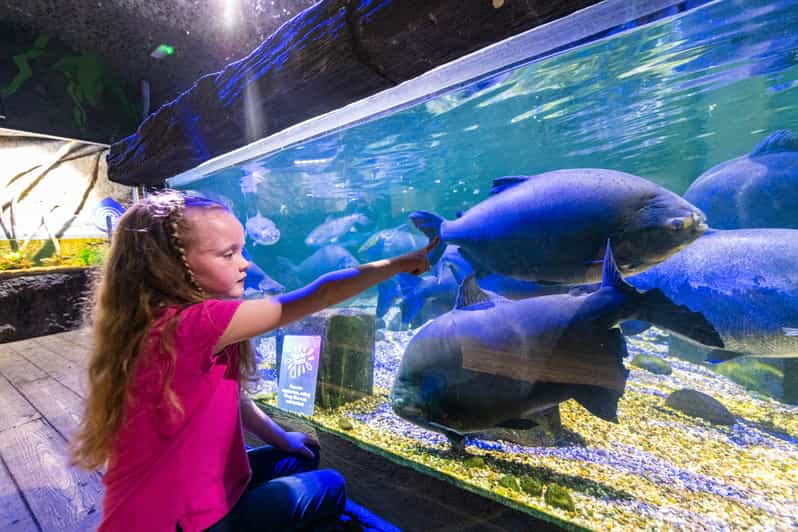 Sea Life Hunstanton | GetYourGuide