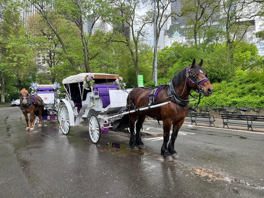 Royal Carriage Ride in Central Park NYC | GetYourGuide