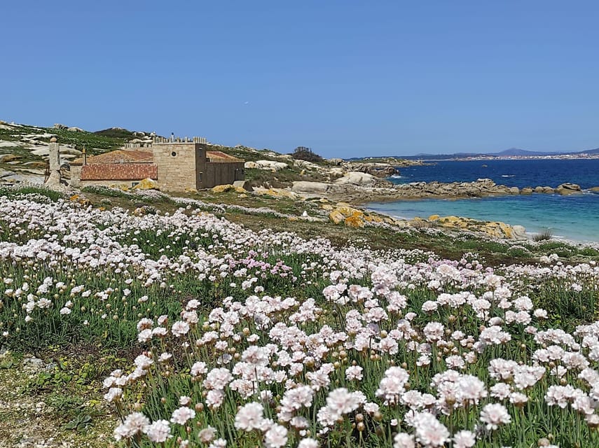 Salvora: Island Tour with Mussel Tasting | GetYourGuide