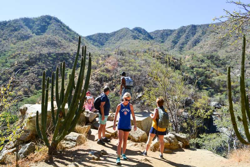 Cabo: Fox Canyon Private Hiking Tour | GetYourGuide