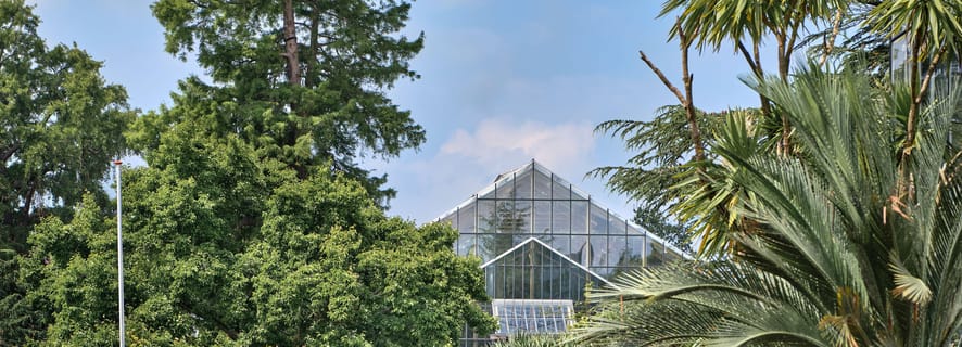 Hortus botanicus Leiden | GetYourGuide Supplier