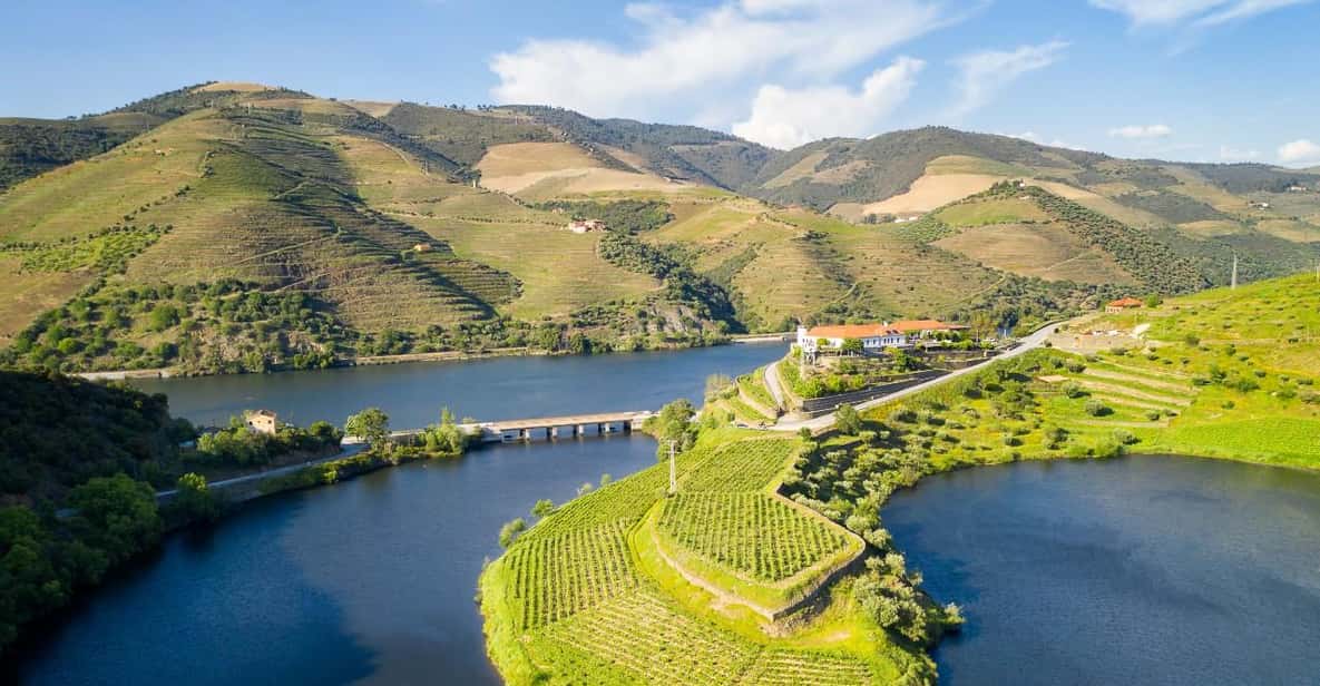 From Porto: Private Douro Valley Tour with Booking Service | GetYourGuide