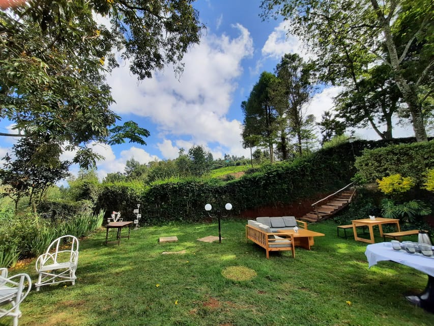 Nairobi: Tea Farm Day Trip with Lunch at kiambethu | GetYourGuide