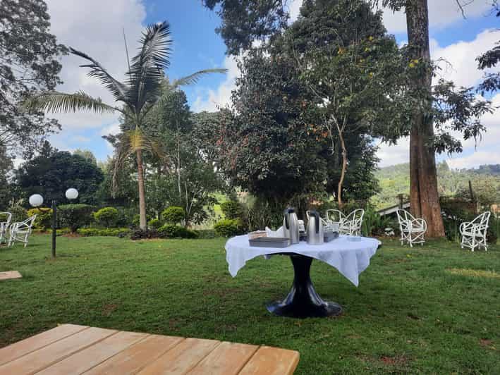 Nairobi: Tea Farm Day Trip with Lunch at kiambethu | GetYourGuide