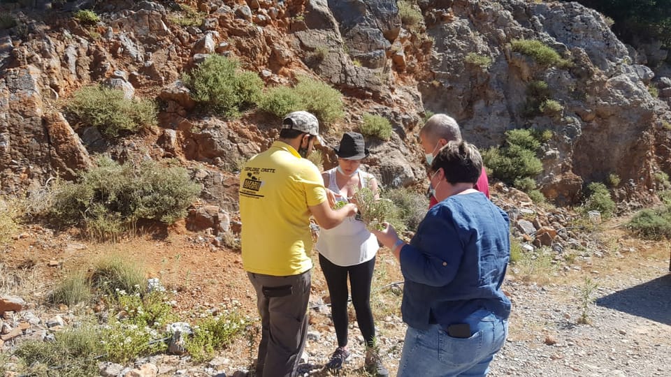 Crete: Sightseeing Day Trip with Cooking Lesson and Lunch | GetYourGuide