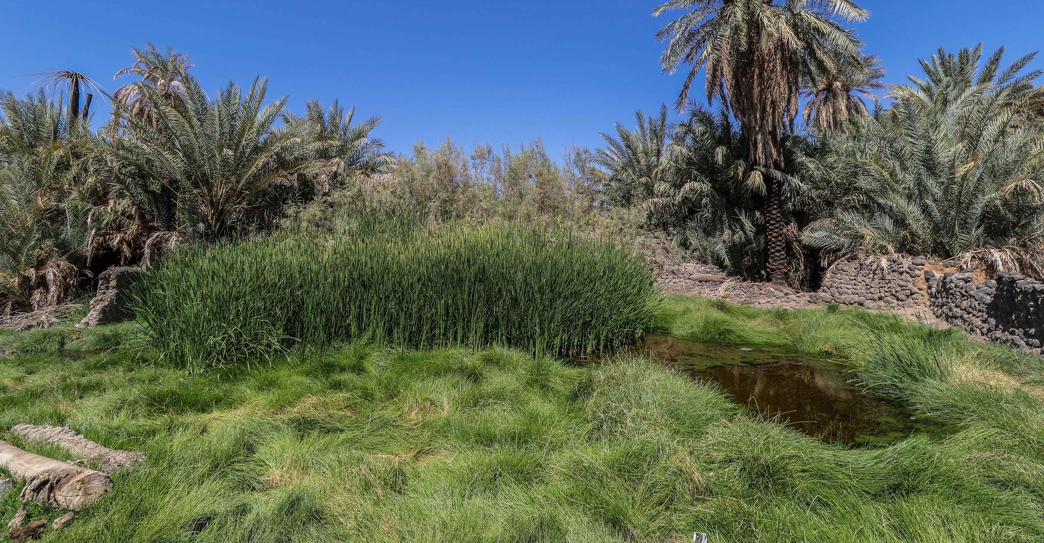 From AlUla, Harrat Khaybar Tour with Lunch and Transfer | Day Trip in ...