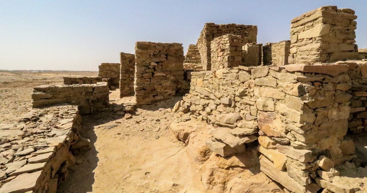 From AlUla: Historic Tayma Day Tour with Lunch and Transfer | GetYourGuide