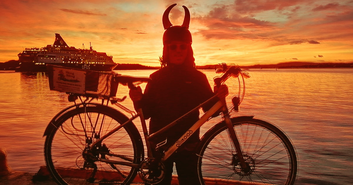 Oslo: Winter Highlights 3-Hour Bike Tour | GetYourGuide