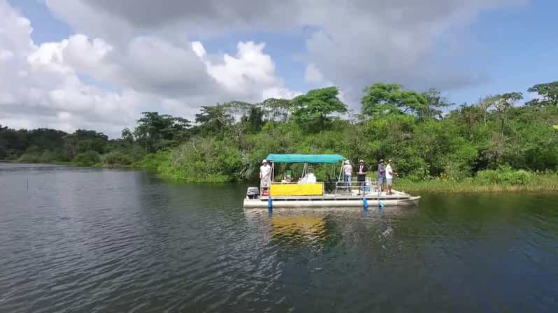 Fra Panama City: Monkey Island Boat Tour med overførsel | GetYourGuide