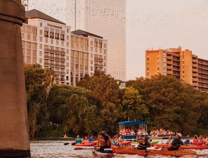 Austin: Sunset Bat Watching Kayak Tour | GetYourGuide