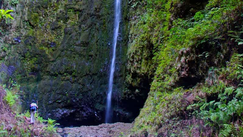 Madeira: Queimadas, Caldeirão Verde and Levada Walk | GetYourGuide