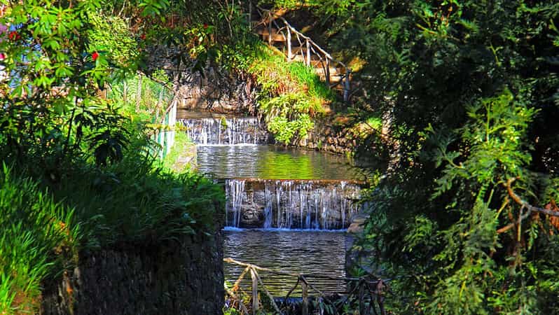 Madeira: Queimadas, Caldeirão Verde and Levada Walk | GetYourGuide