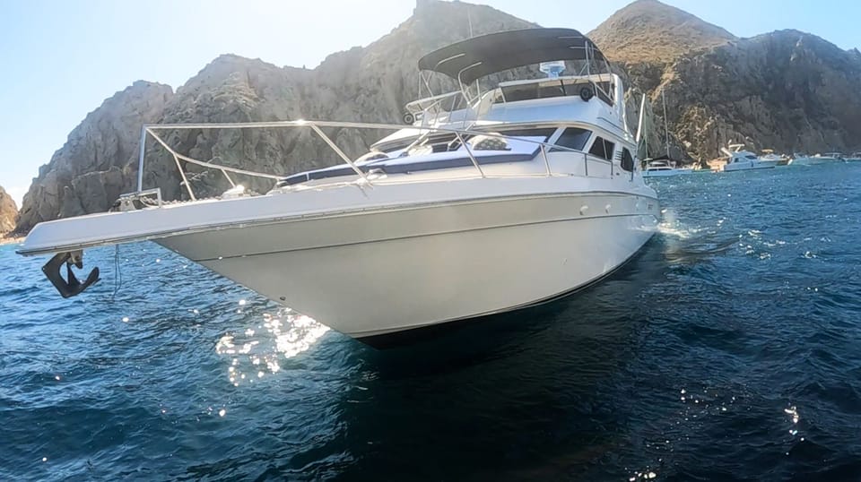 Cabo San Lucas: Private Boat Tour with Paddle Boarding | GetYourGuide