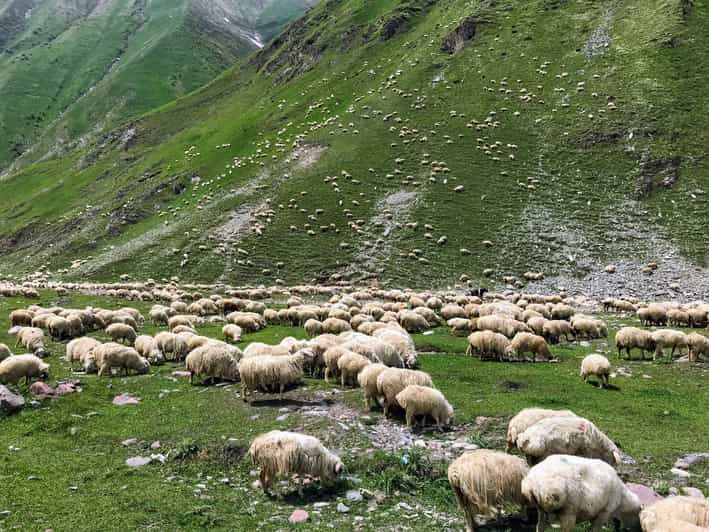 From Tbilisi: Kazbegi and Truso Valley Off-road adventure | GetYourGuide