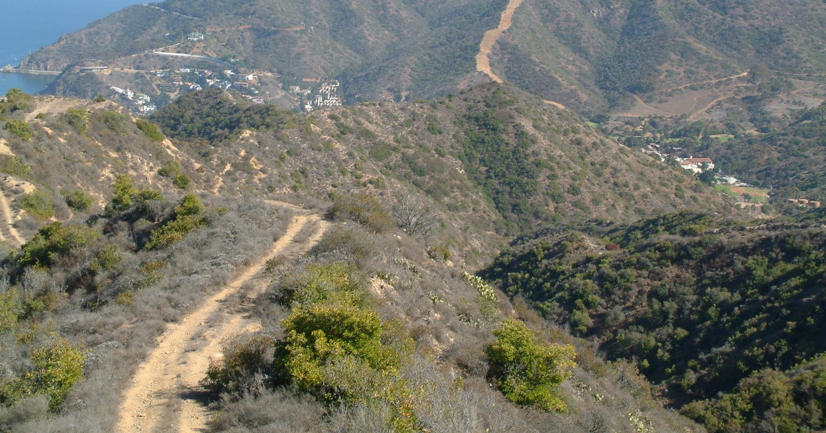 Avalon, Catalina Island: 2-Hour Inside Adventure Tour | GetYourGuide