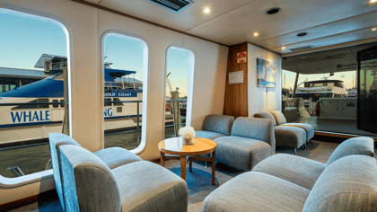 Guldkysten: Guidet tur med hvalsafari på en superyacht | GetYourGuide