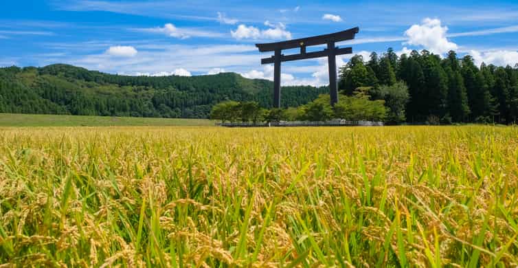 The BEST Tanabe Tours and Things to Do in 2023 - FREE Cancellation ...