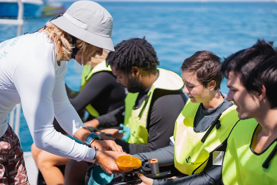 Oahu: Turtle Canyon Snorkeling & Hula Dance | GetYourGuide